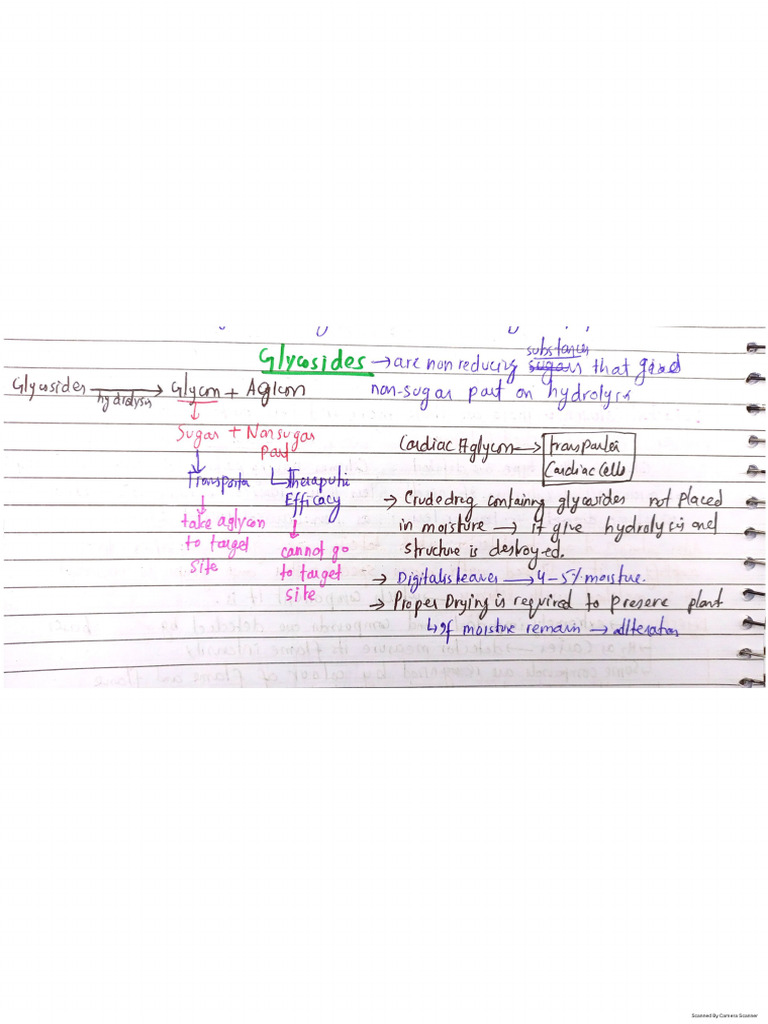 5 Glycosides and Types | PDF
