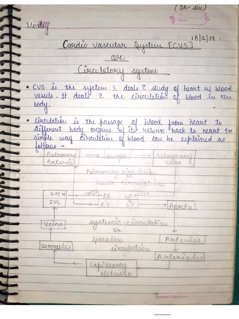 Cardiovascular System Handwritten Notes | PDF