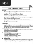 Form 2 Science Study Guide | PDF | Digestion | Flowers