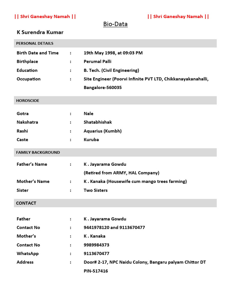 Basic Beautiful Marriage Biodata Format in Word File | PDF