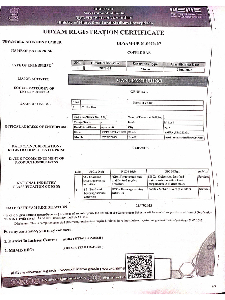 Business Registration | PDF