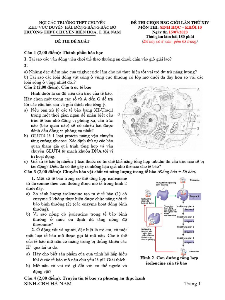 10 SINH - CBH HA NAM | PDF