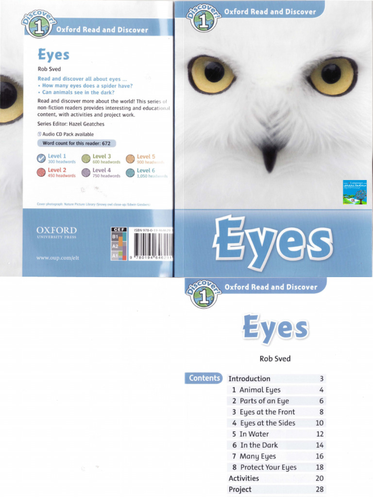 Level 1-Eyes | PDF