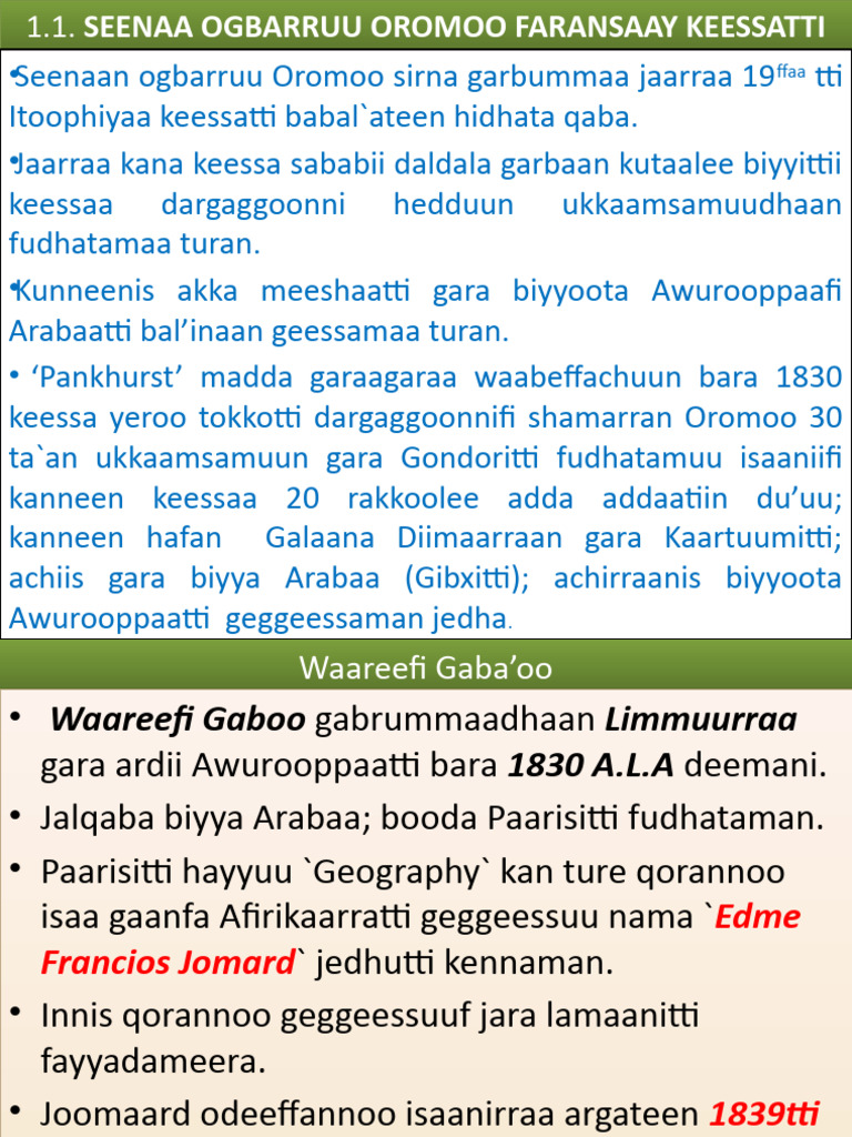 Sakatta'Aa Ogbarruu Oromoo | PDF