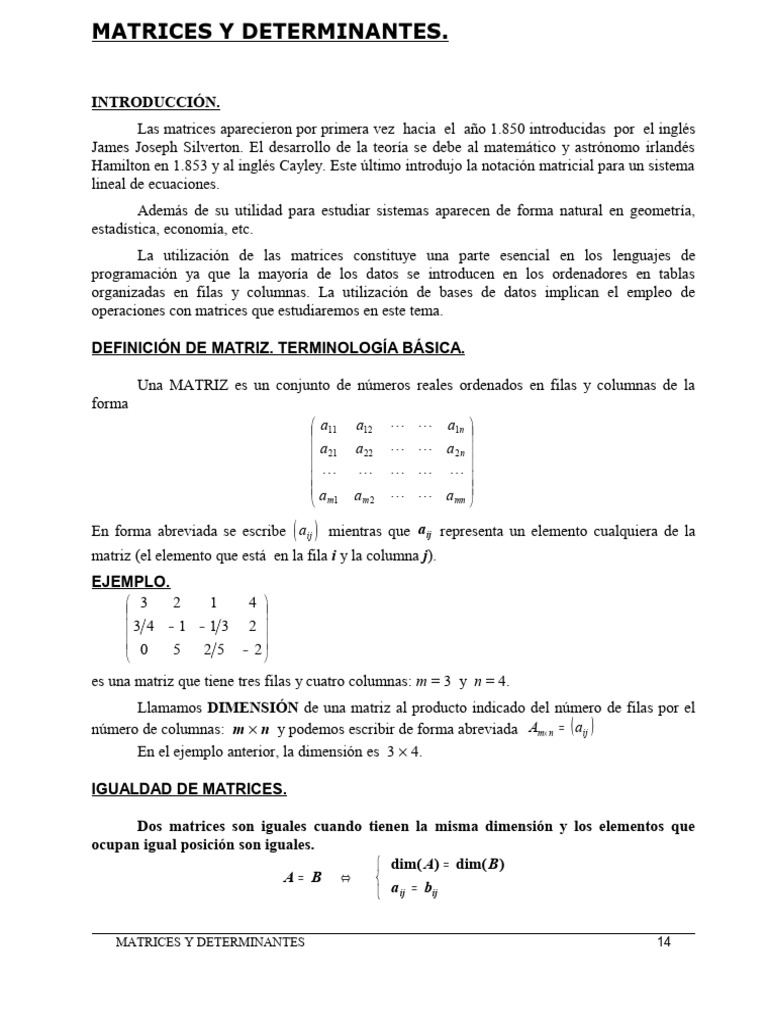 Matrices y Determinantes Juan Antonio González Mota | Descargar gratis ...