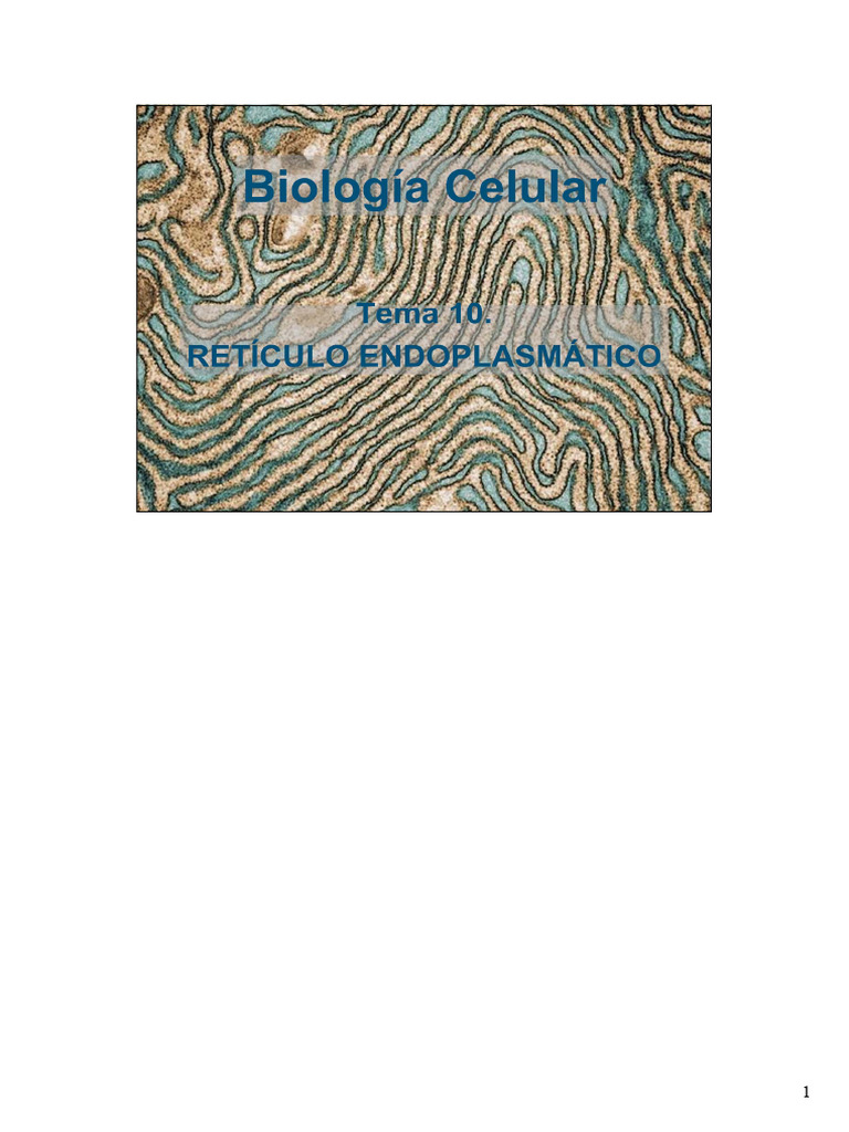 Tema 10. Retículo Endoplasmático | PDF | Endoplasmic Reticulum | Ubiquitin