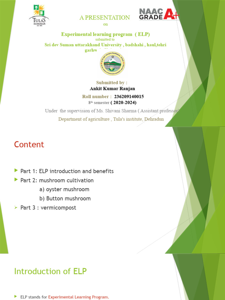 Ankit Elp Presentation 1 | PDF | Mushroom | Compost