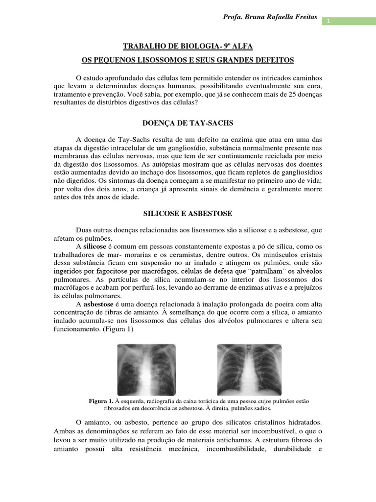 Av3 - Lisossomos - 9º Ano | PDF | Amianto | Lisossoma