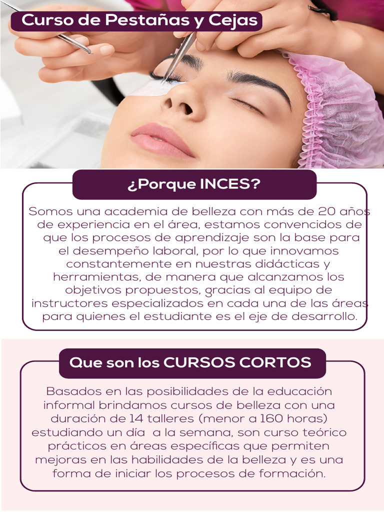 CURSO PESTAÑAS Y CEJAS 14 Talleres | PDF