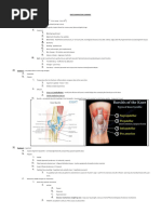 Knee Examination OSCE Checklist Geeky Medics | PDF | Knee | Joints
