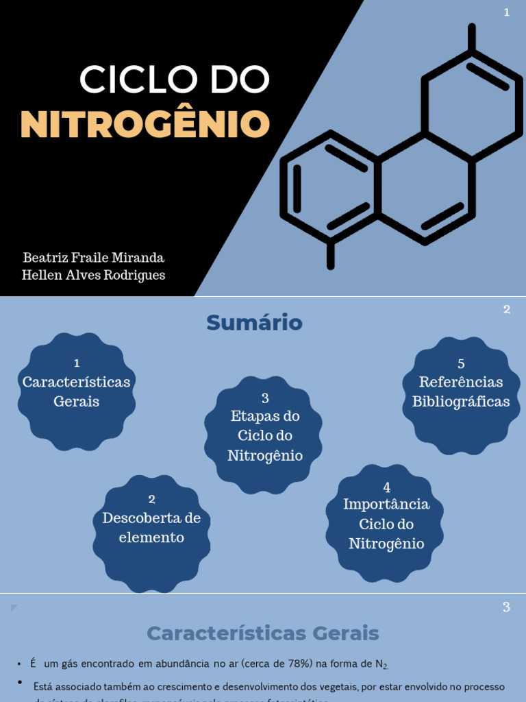 Ciclo Do Nitrogênio | PDF | Nitrogênio | Fertilizante
