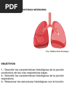 Celulas de Clara | PDF | Epitelio | Histología