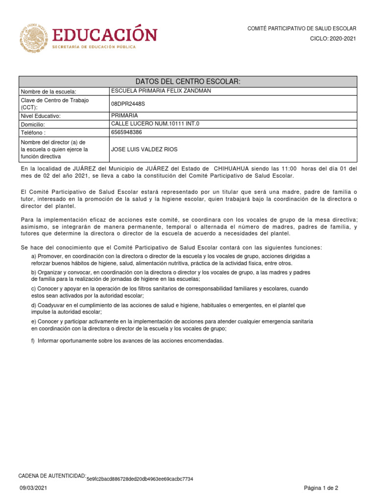 Comité de Salud Escolar 2020-2021 | PDF | Escuelas