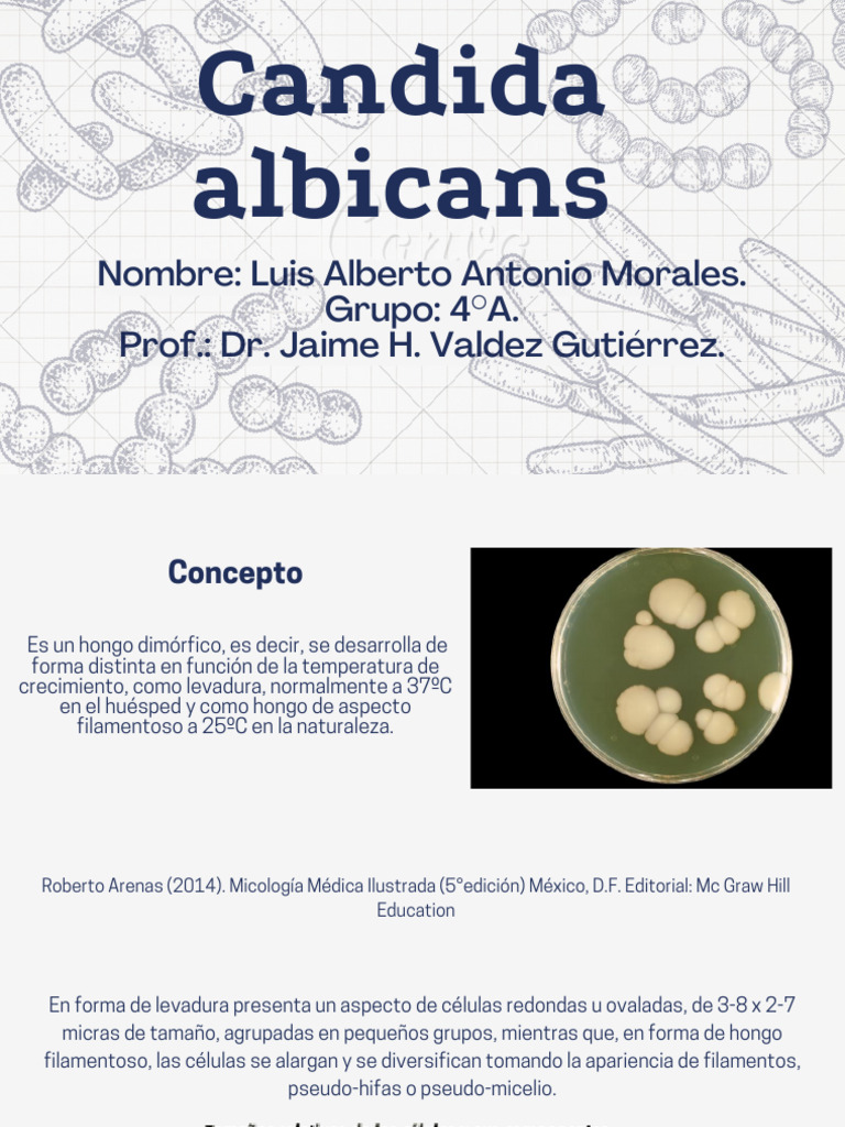Candida Albicans | PDF | Candidiasis | Biología