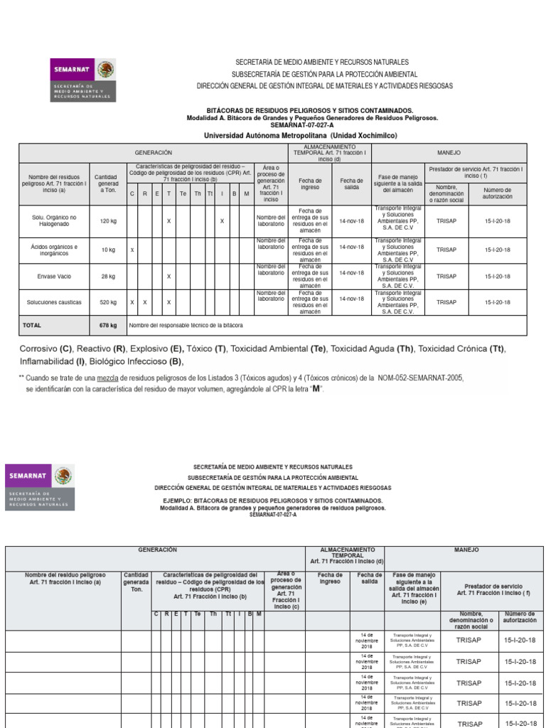 Ejemplo de Bitácora de RPBI | PDF | Residuos | Combustión
