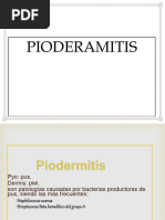 Guía Completa sobre Piodermitis | PDF | Septicemia | Enfermedades y ...