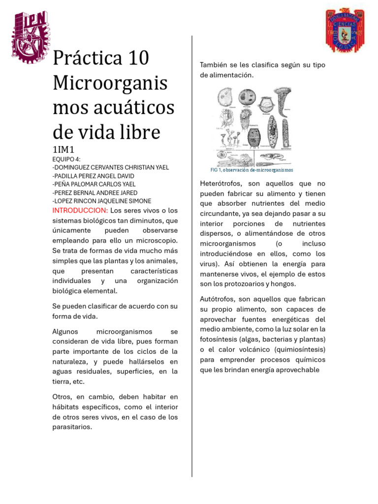 Práctica 10 Microorganismos Acuáticos de Vida Libre | PDF | Microorganismo | Cianobacterias