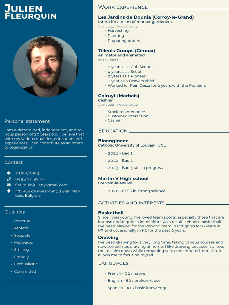 Clean CV Template | PDF