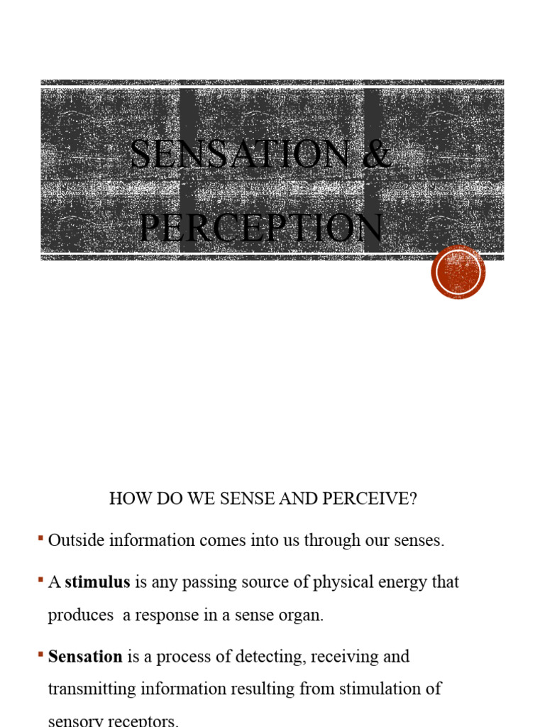 Sensation and Perception | PDF | Senses | Perception