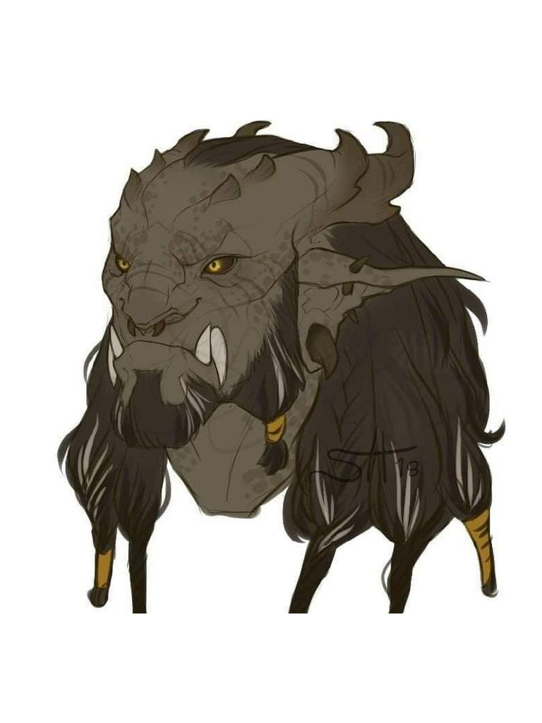 Half-Orc Dragonborn DnD | PDF