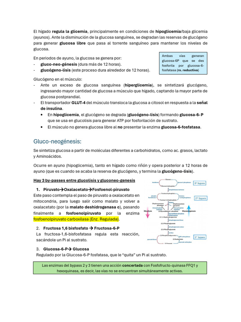 Resumen Bioqca | PDF | Trifosfato de adenosina | Nicotinamida Adenina Dinucleótido Fosfato