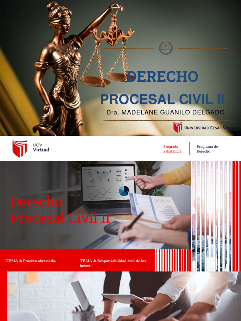 DPC-II-S3 y S4. Dra. Madelane Guanilo | PDF | Posesión (Ley) | Propiedad