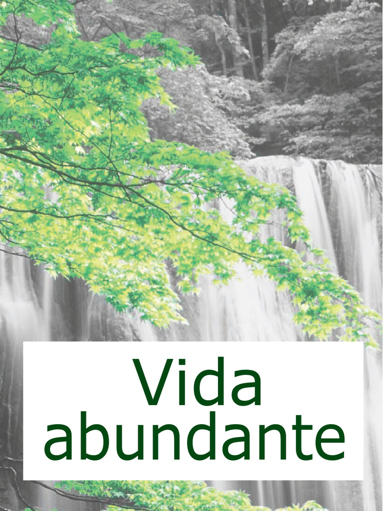 Vida Abundante: Carácter Cristiano | PDF | Cristo (título) | espíritu Santo