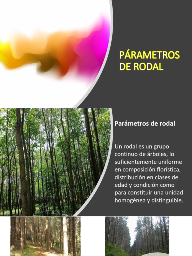 Parámetros de rodal | PDF