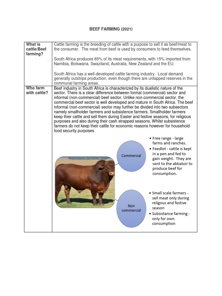 Overview of South African Beef Farming | PDF | Agriculture | Cattle