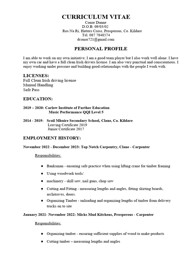 Cv 2024 Pdf Carpentry