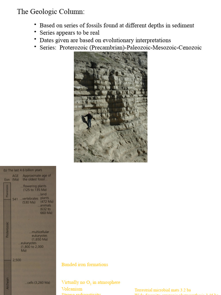 Geologic Column | Download Free PDF | Microorganism | Fossil