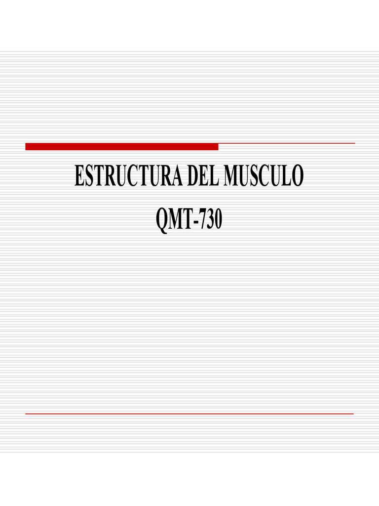 QMT-730.1.4 | Descargar gratis PDF | Músculo | Anatomía