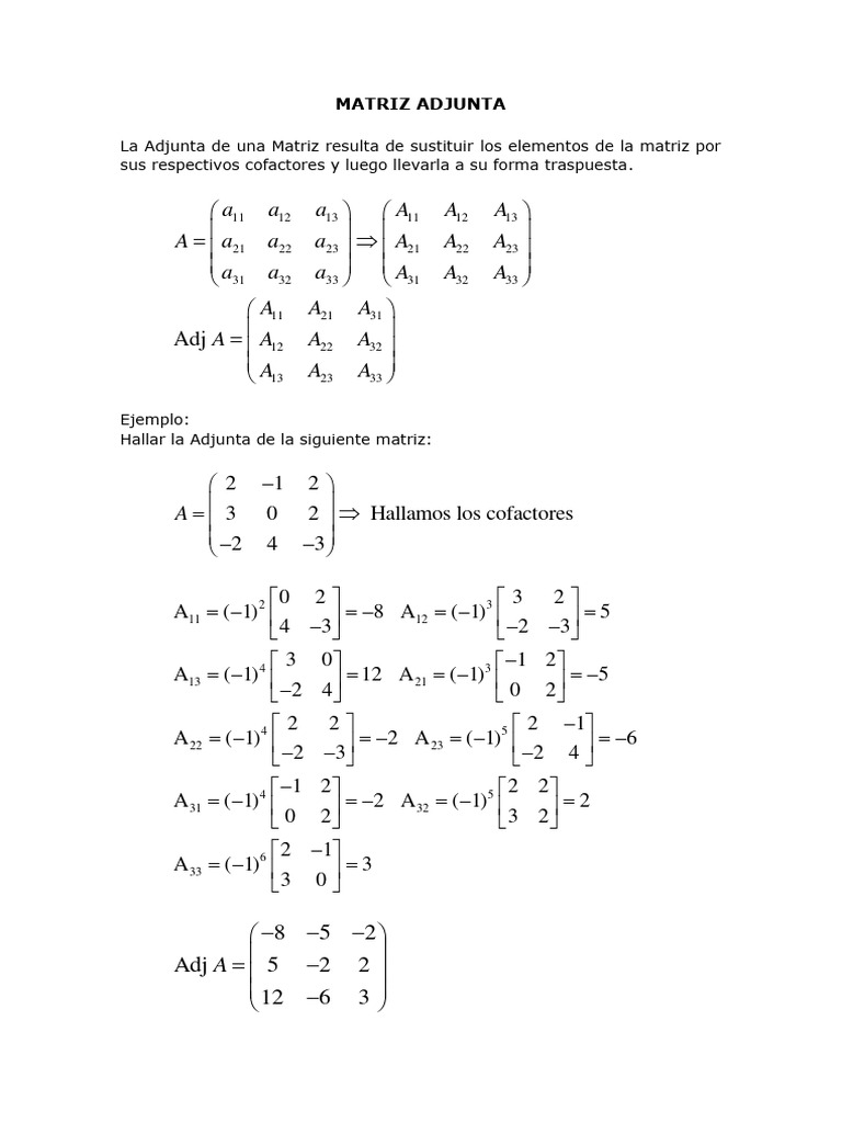 Matriz Adjunta | PDF | Determinante | Matriz (Matemáticas)