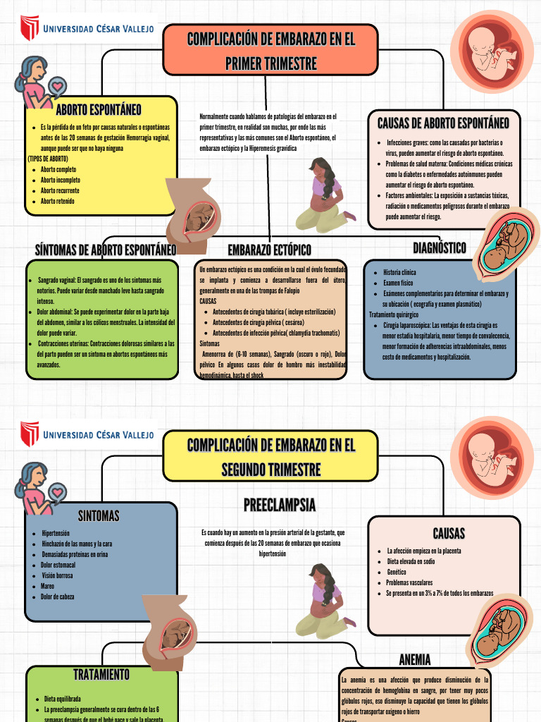 Mapa Conceptual Esquema Doodle Sencillo Multicolor | PDF | El embarazo | Aborto