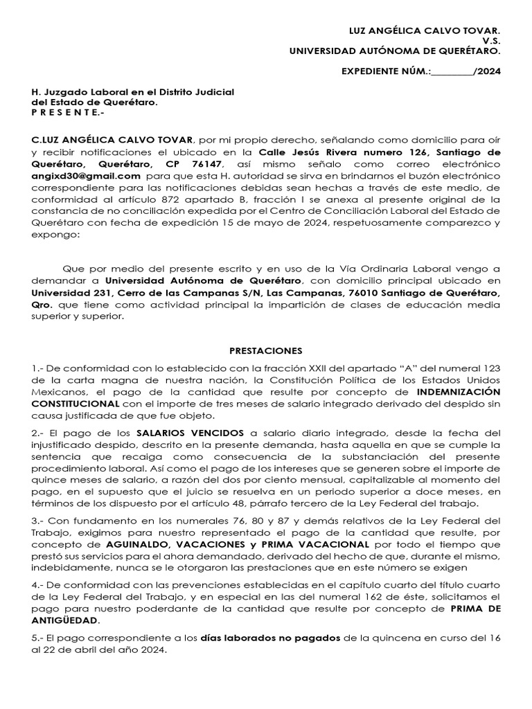 Demanda Laboral de Luz Calvo Tovar | PDF | Demanda judicial | Gobierno