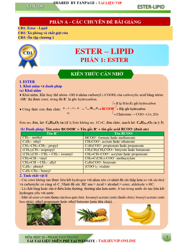 (TỜ 01) HÓA 12-CHƯƠNG 1-ESTER-LIPID-ĐỀ | PDF