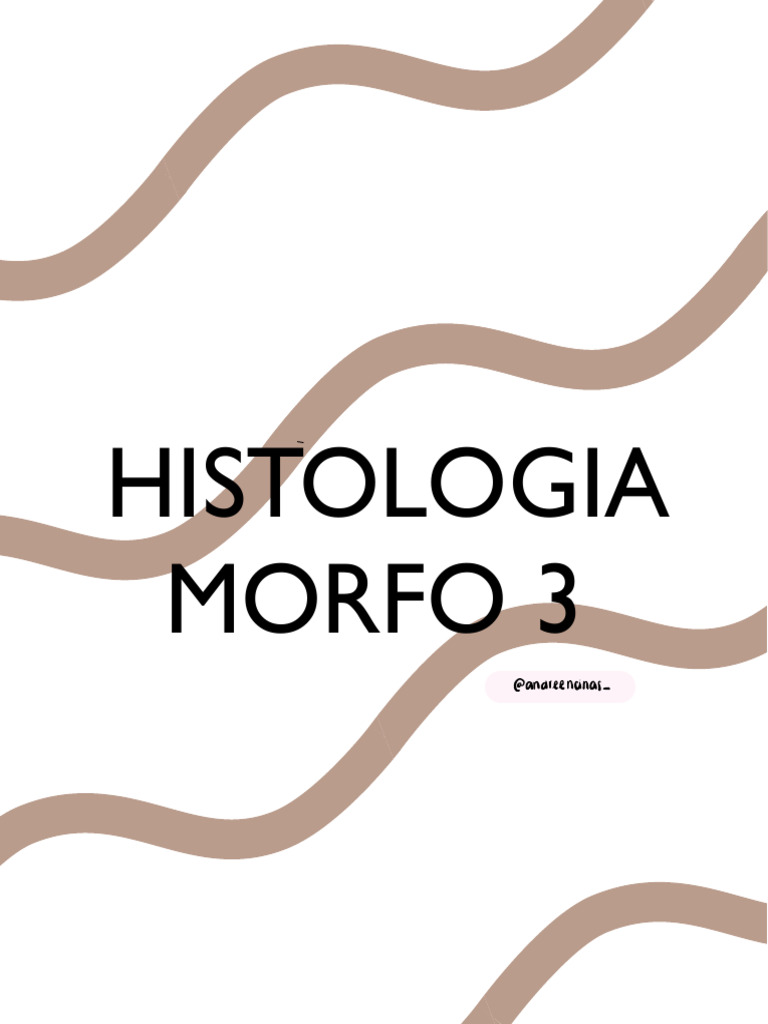 Resumen Histología Morfo 3 | Descargar gratis PDF | Corazón | Artería