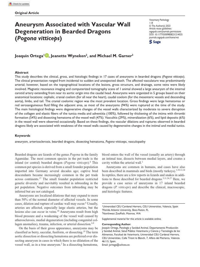 Ortega Et Al 2023 Aneurysm Associated With Vascular Wall Degeneration in Bearded Dragons (Pogona ...