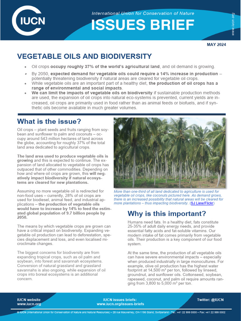 IUCN Issues Brief - Vegetable Oils and Biodiversity | PDF | Agriculture | Palm Oil