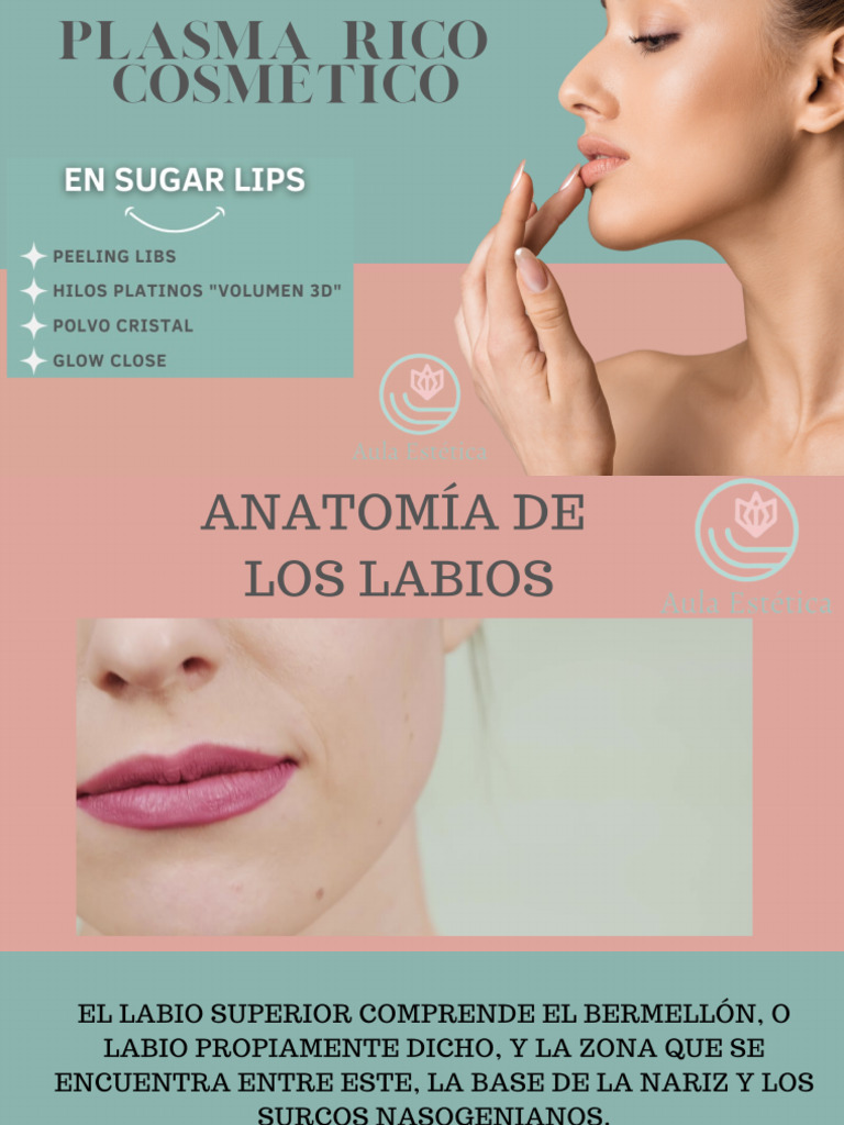 Sugar Lips | PDF