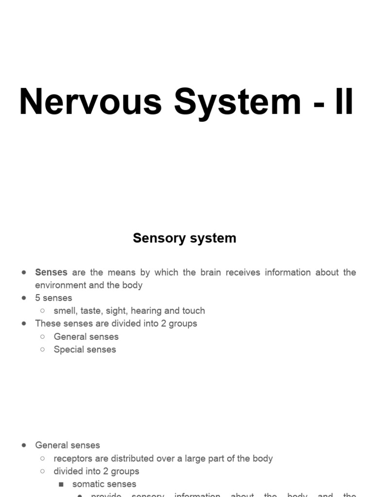 Human Physiology Nervous System - Part 2 | Download Free PDF | Motor ...