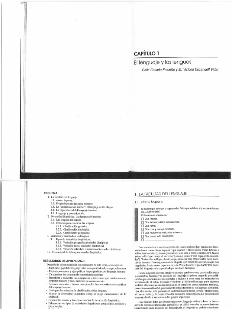 Invitación A La Lingüística Cap. 1 Al Cap. 8-1 | PDF