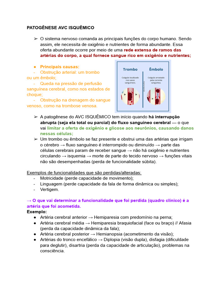 Patogênese do AVC Isquêmico e Hemorrágico | PDF | AVC | Artéria