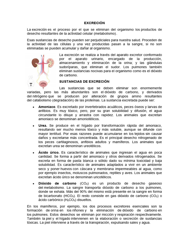 Proceso de Excreción en Organismos | PDF | Excreción | Biología