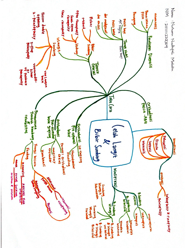 Mind Mapping Dan Simple Taking Notes | PDF