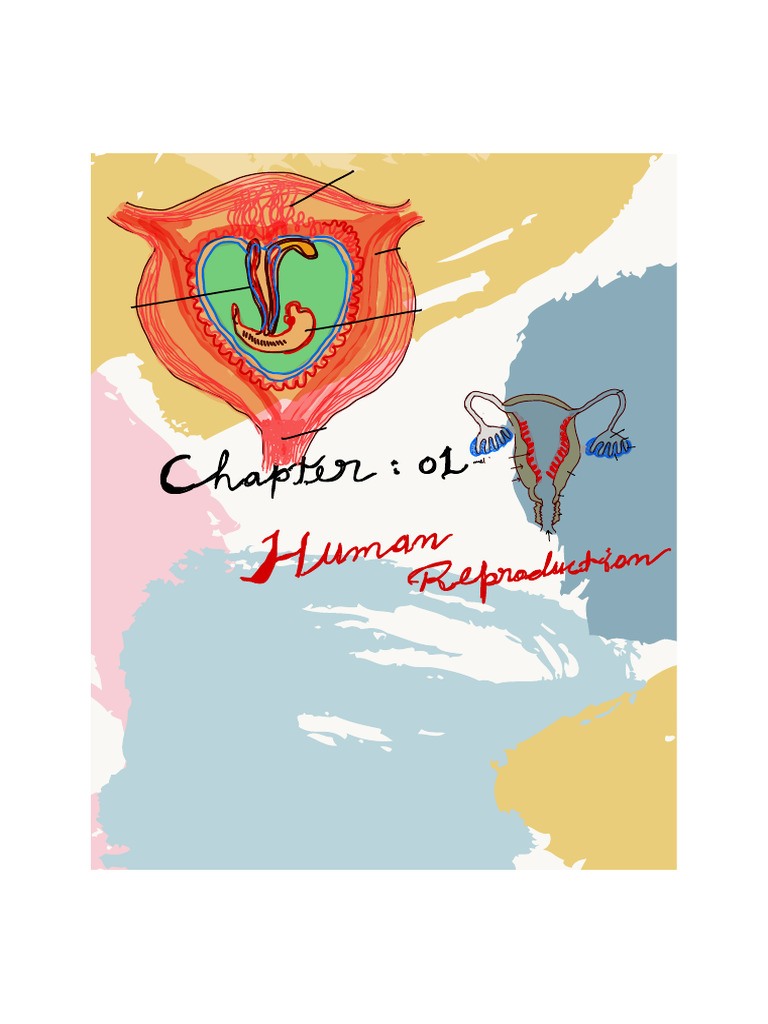 Human Reproduction Class Notes 20 04 2024 | PDF