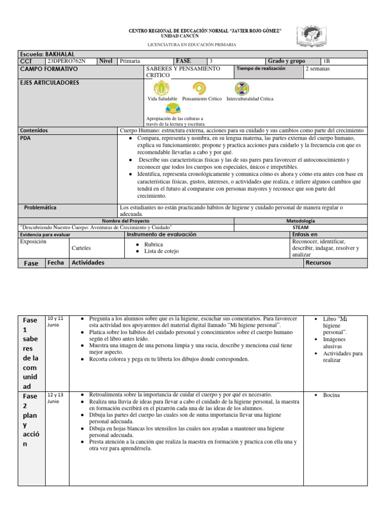 Planeacion de Saberes (Naye) | PDF