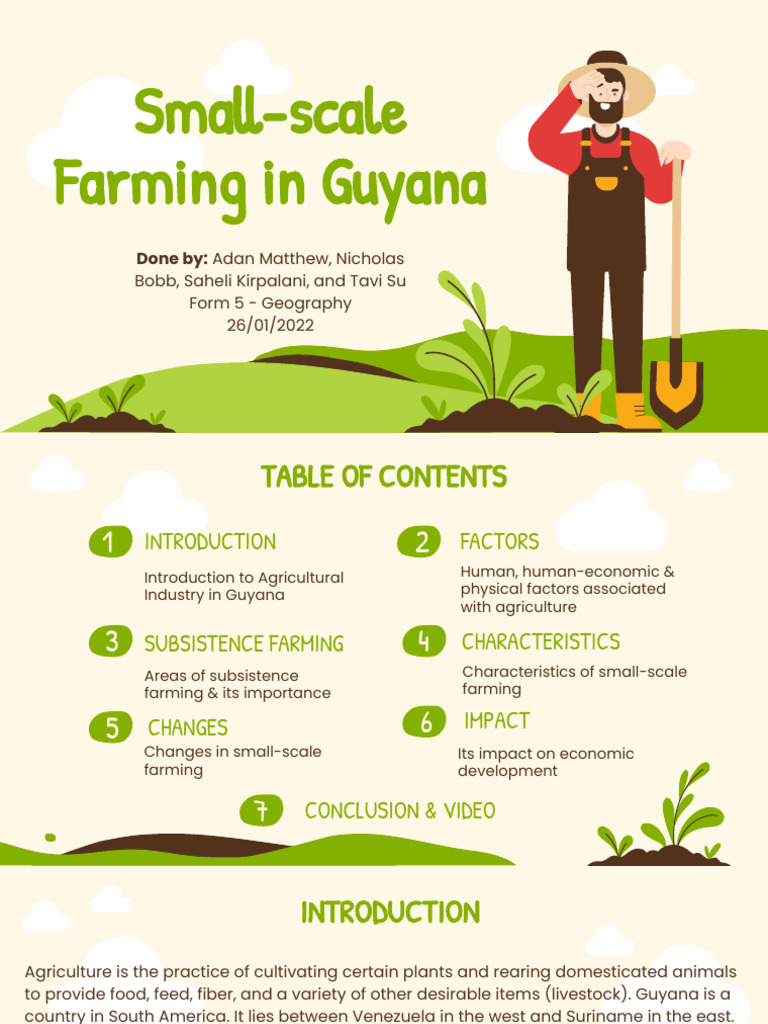 Geography: Small-Scale Farming | PDF | Agriculture | Farms