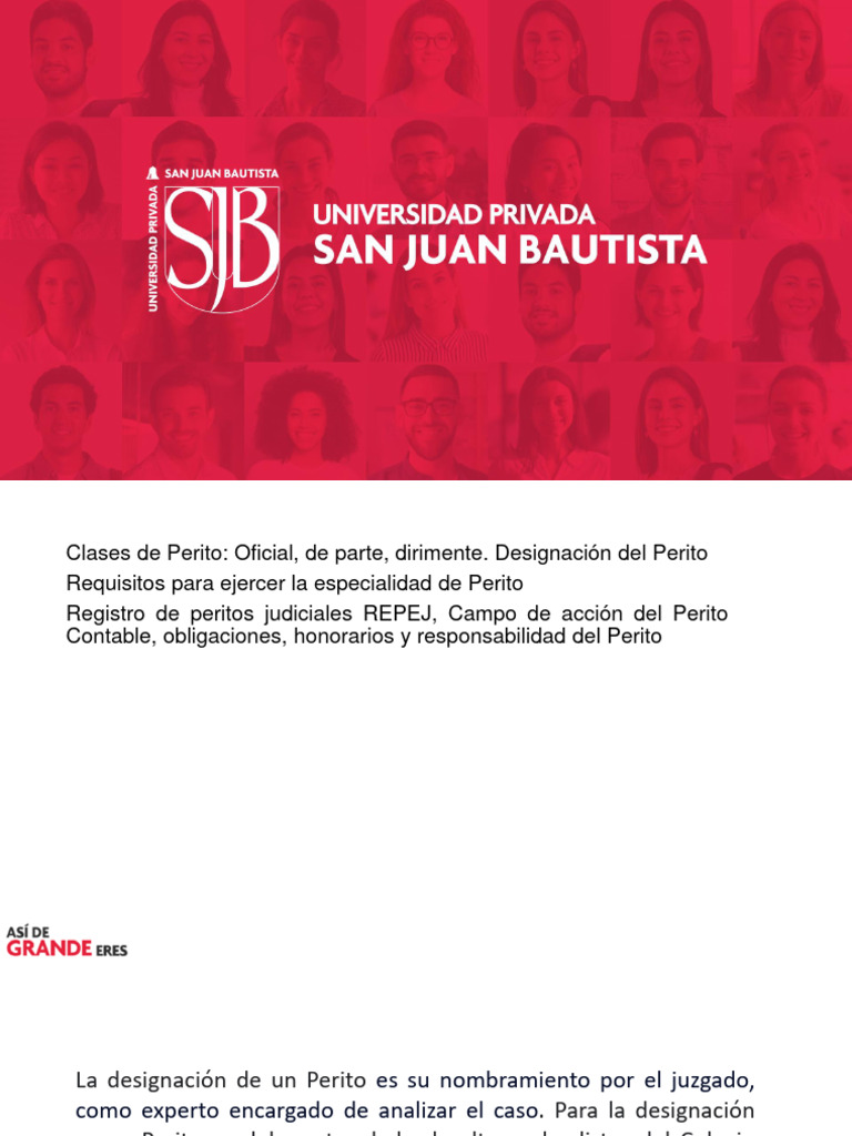 Peritaje 3 Pdf Testigo Experto Derecho Penal