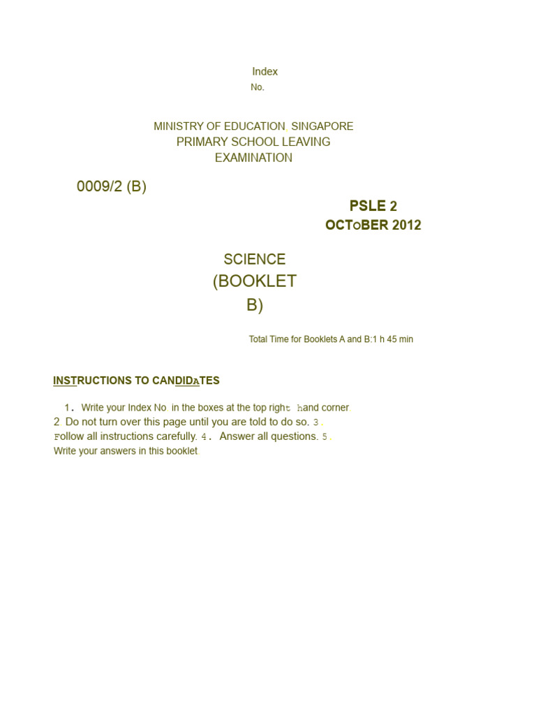 2012 Psle Science Booklet B | PDF | Power Station | Magnet